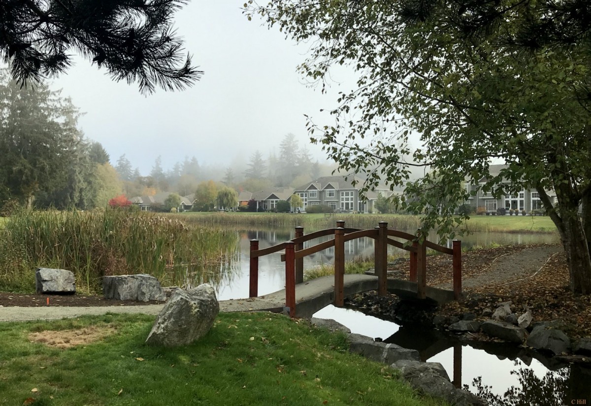 Craig Bay – Craig Bay